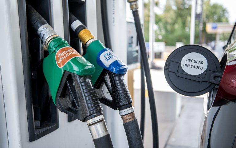 Top 10 Mywape Alternatives And Competitors For Website